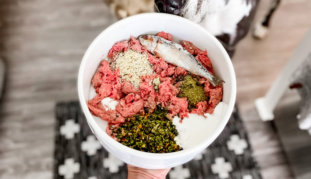 Raw Food Diet For Dogs: Supercharge Your Dog's Nutrition – Dr. Harvey's