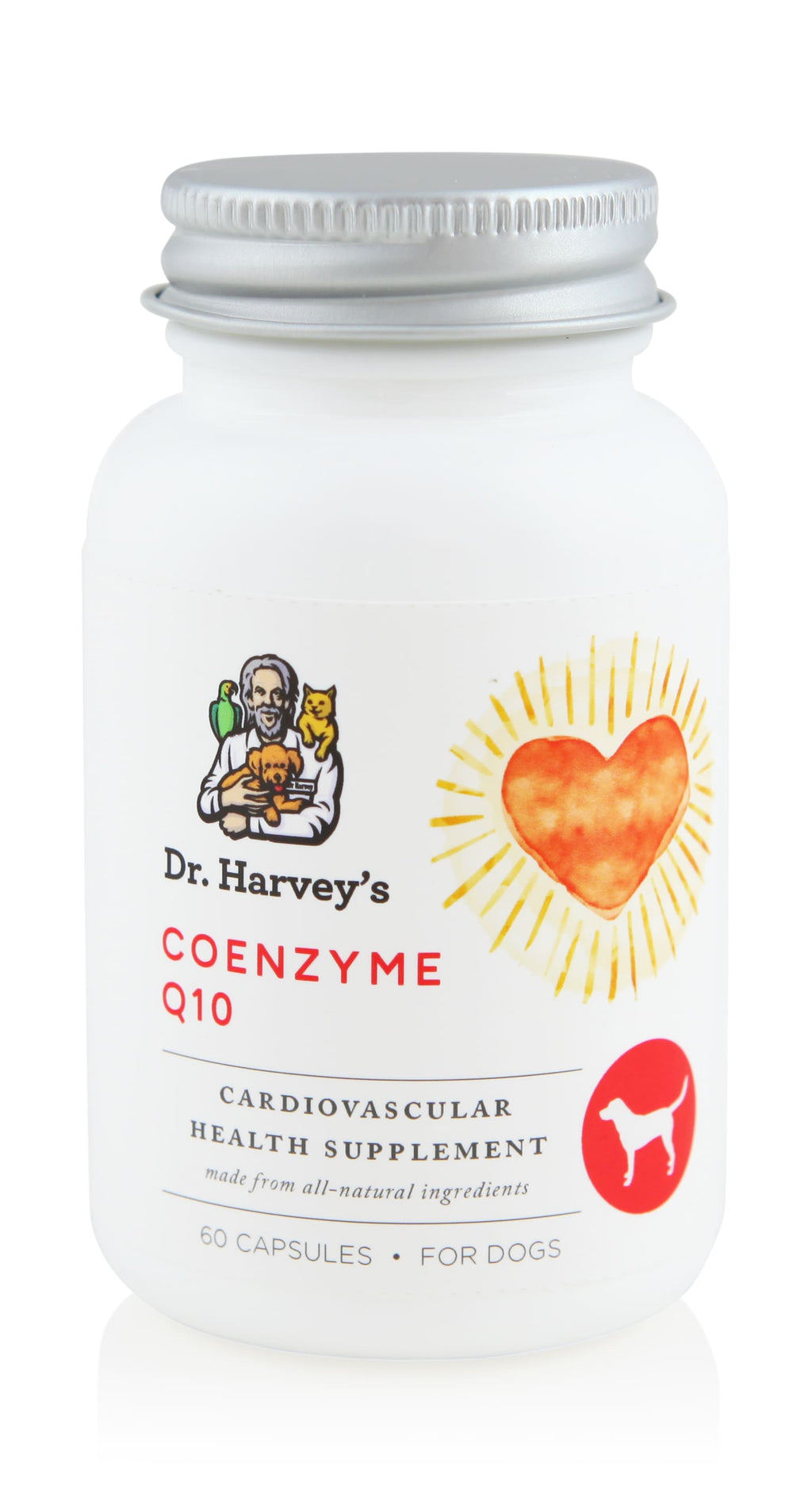 Coenzyme Q10 Supplement for Dogs – Dr. Harvey's
